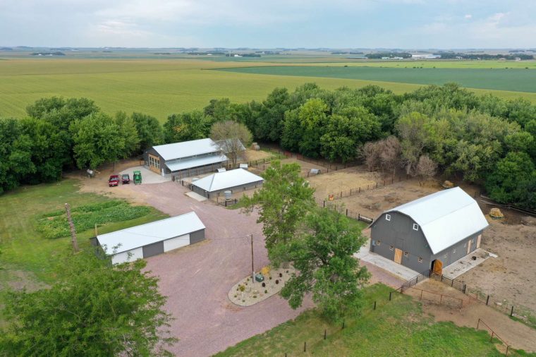 About - Walnut Bush Farms