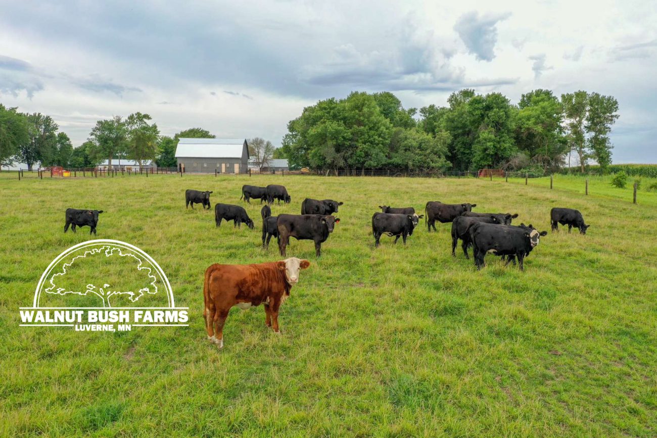 Home - Walnut Bush Farms