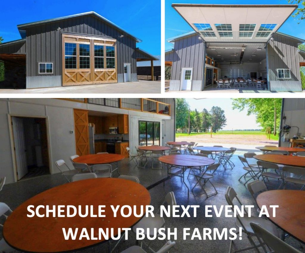 Events - Walnut Bush Farms